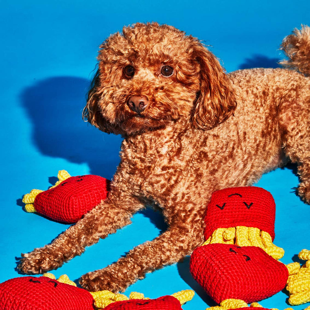 Hand Knit French Fries – Small Talk